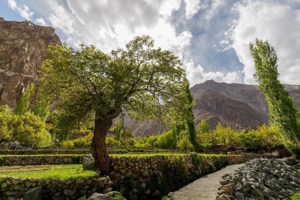 Capturing Breathtaking Landscape Photography in India.